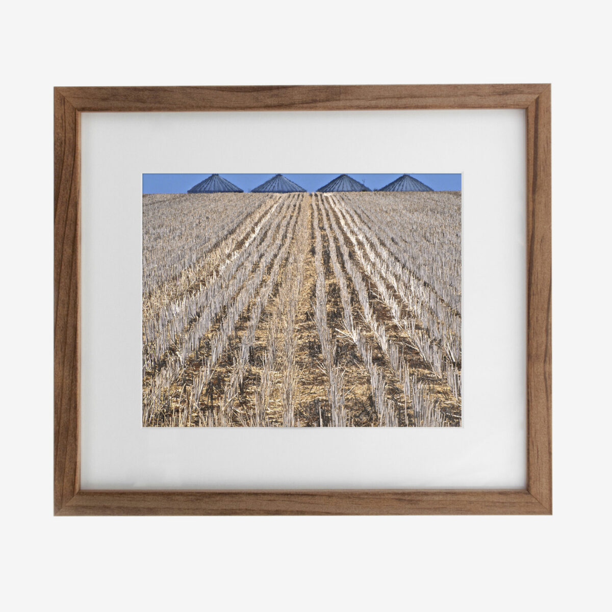 Howard Gwynne Framed Photograph, Plantings - Corban & Blair